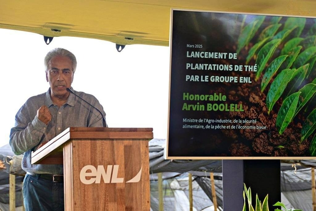 Secteur du thé : Une équipe ougandaise attendue à Maurice pour partager ...